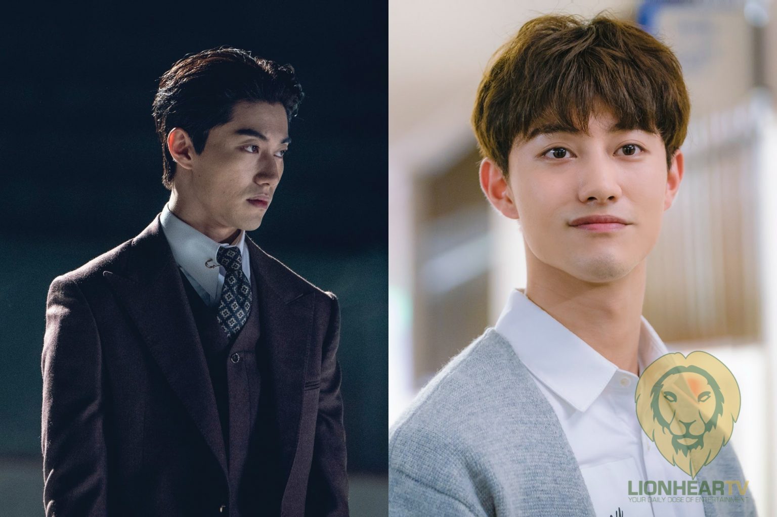 Meet the Cast of Vincenzo + Where You’ve Seen Them Before - LionhearTV