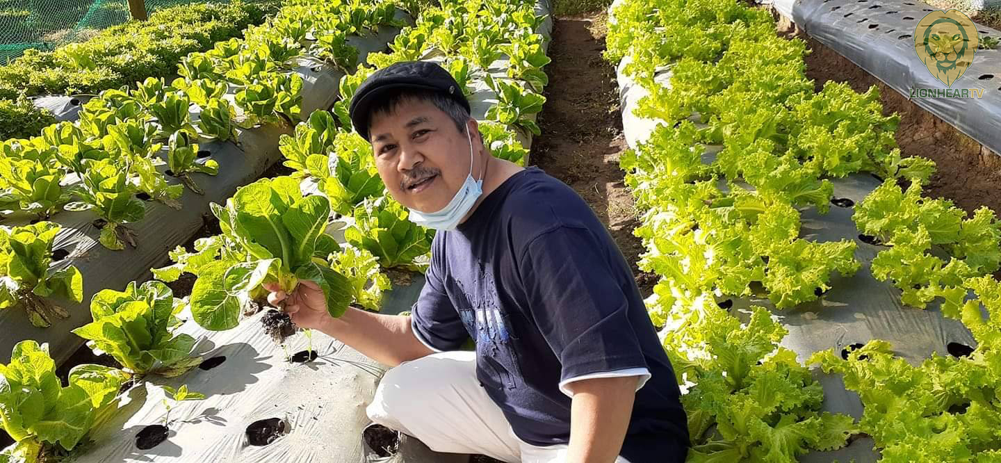 GMA Network Employees’ Multi-Purpose Cooperative and Agripreneur ...