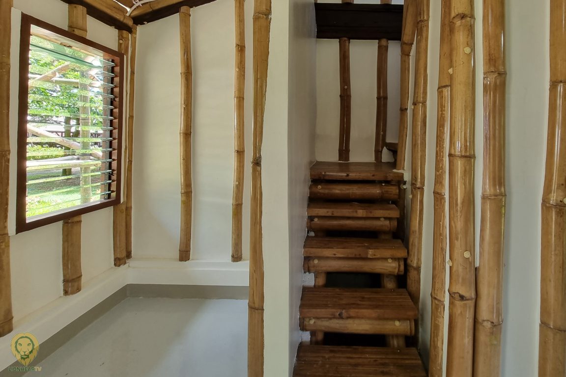 Base Bahay Foundation partners with Antonio O. Floirendo Foundation to ...