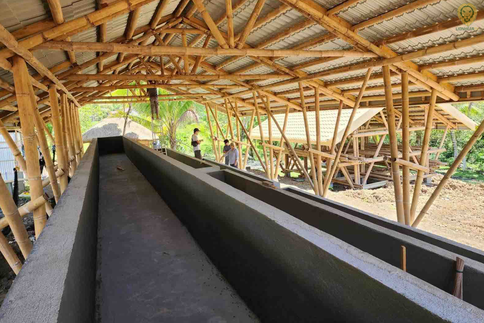 New Bamboo Treatment Facility in Maguindanao to support Mindanao ...