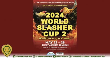 Be part of non-stop cockfighting action at the 2024 World Slasher Cup ...