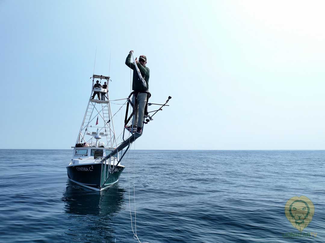 Adrenaline, Tantalising Flavors and Home Makeovers On Discovery Channel ...